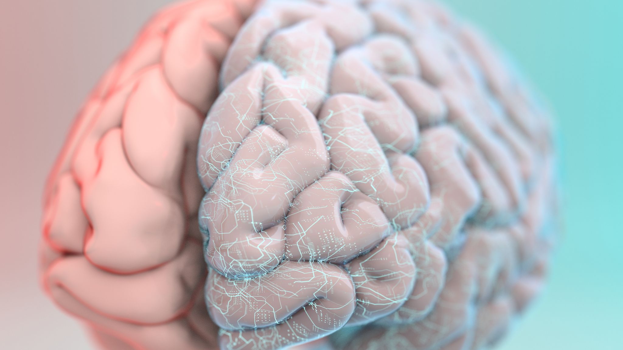 Cutting through the (brain) fog - BrainWise Media